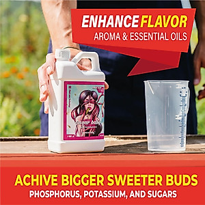 Terpenes Enhancer - Hydroponic Nutrients for Big Bud and Bud Candy Taste. Use as Soil Flower Food and Hydroponic Plant Food - Sugar baby 0-1-1 Bloom Booster Terpinator by Nutriling 32OZ