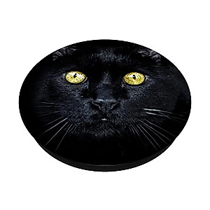 Black Cat Kitty Kitten PopSockets Swappable PopGrip