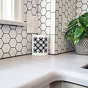 TERRO T550 Discreet Odorless Indoor Fly Trap Plus Lure - Attracts, Traps, and Kills House Flies