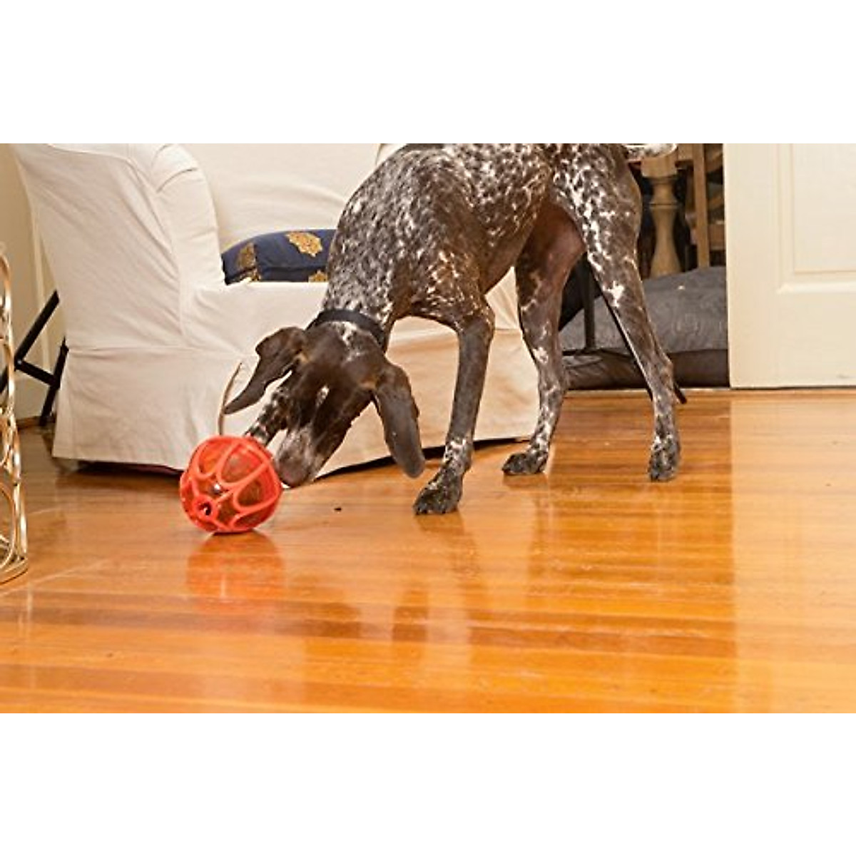 PetSafe Sportsmen Kibble Nibble - Refillable Kibble and Treat Toy - Meal Dispensing Dog Toy - Interactive Dog Toy for Anxiety and Fast Easters - Slow Down Meals - Slow Feeder Toy for Dogs