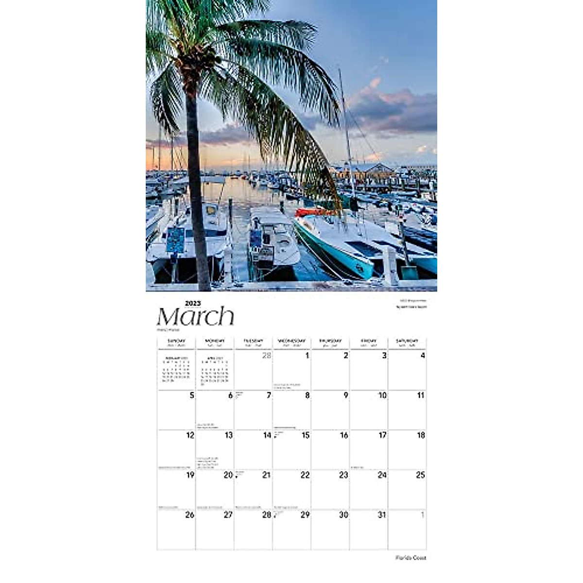Florida Coast | 2023 12 x 24 Inch Monthly Square Wall Calendar | Foil Stamped Cover | BrownTrout | USA United States of America Southeast State Nature