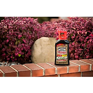 Spectracide Weed and Grass Killer with Extended Control Concentrate, 32 Ounces, with Accumeasure System (Case of 6)