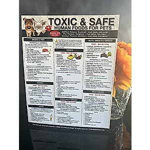 TLC Safety By Design Premium 8.5” x 11” Magnet Toxic Harmful and Safe Foods for Pets Fridge Safety Dogs Cats Poison Emergency Large Format Veterinarian Approved (Qty. 1)
