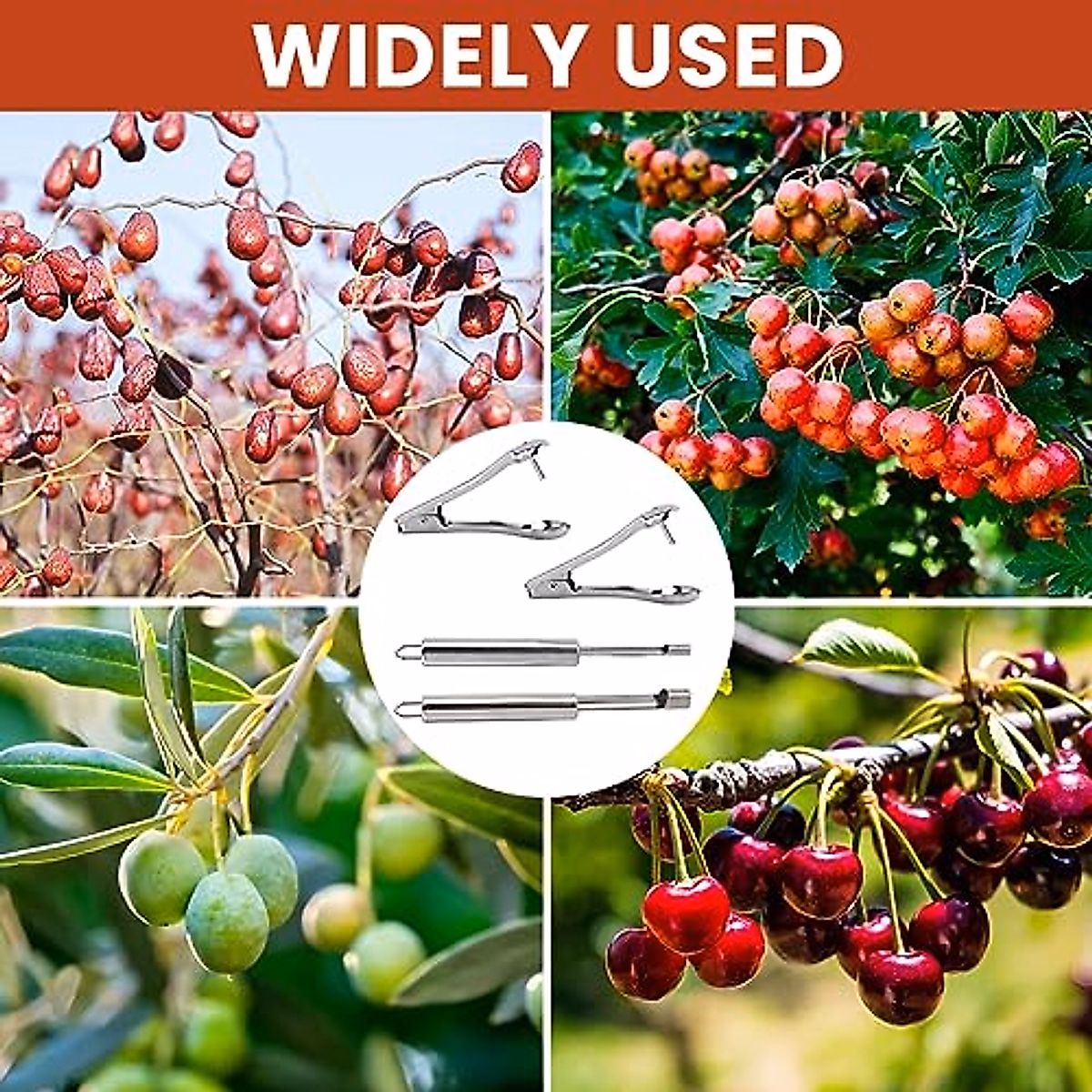 CALIDAKA Cherry Pitter Tool, 4PCS Stainless Steel Pitter Tool, Portable Cherry Remover Olives Pitter Tool, Kitchen Pitter for Cherry, Olives, Hawthorn, Red Date