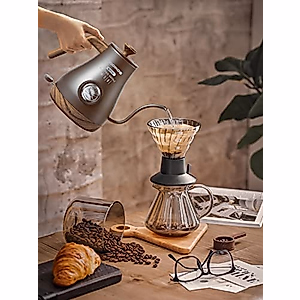 Fooikos Gooseneck Electric Kettle with Thermometer - 1.0L 304 Stainless Steel Water Kettle for Coffee and Tea Brewing -800W Fast Heating in 4 Minutes(Grey)