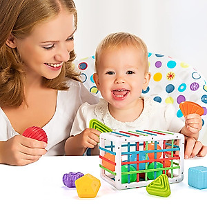 Montessori Sensory Toys for 1 Year Old Boy and Girl, Baby Shape Sorting Bin Gifts for 12 Months, Early Learning Educational Toddler Bath Toys for Toddlers