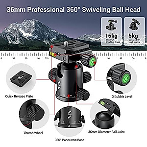 SmallRig 78" Camera Tripod, Foldable Aluminum Tripod & Monopod, 360°Ball Head Detachable and Quick Release Plate, Payload 33lb, Adjustable Height from 18.5" to 78" for Camera, Phone - 3474