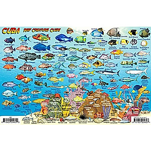 Cuba Dive Map & Coral Reef Creatures Guide Franko Maps Laminated Fish Card