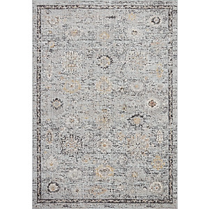 Loloi Monroe Sky/Gold 9'-3" x 13' Area Rug