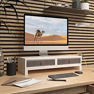 LAPTAIN Dual Monitor Stand Riser with 2 Drawers, Screen Stand with Adjustable Length and Angle, Desktop Organizer Stand for Laptop Computer/TV/PC