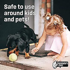 Exterminators Choice Lizard Defense Spray | 32 Ounce 2 Pack | Natural, Non-Toxic Lizard Repellent | Quick, Easy Pest Control | Safe Around Kids & Pets