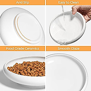 ComSaf Cat Food Water Bowl, Wide Shallow Ceramic Cat Dish, Non Spill Pet Bowl,10oz, Pack of 2