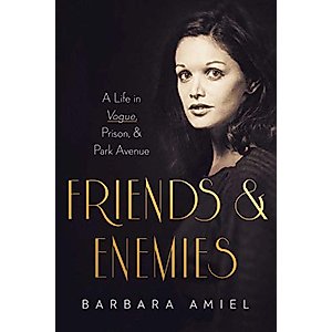 Friends and Enemies: A Life in Vogue, Prison, & Park Avenue
