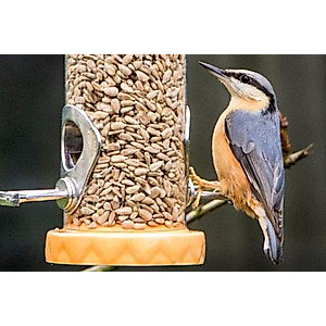 Sunflower Coarse Kernels Hearts No Waste No Mess Bird Seed (50 Pounds)