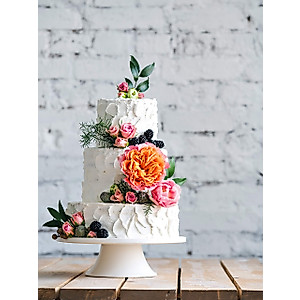 Rich's Allen Country White Buttercream Icing ZTF, 28 Pound (Pack of 1)