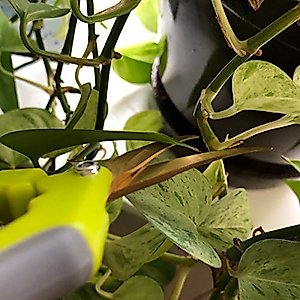 The Relaxed Gardener Gardening Scissors Set - Curved and Straight Titanium Coated Blade Micro Tip Pruning Shears - Super Sharp Trimmers for Plants with Anti-Rust Coating