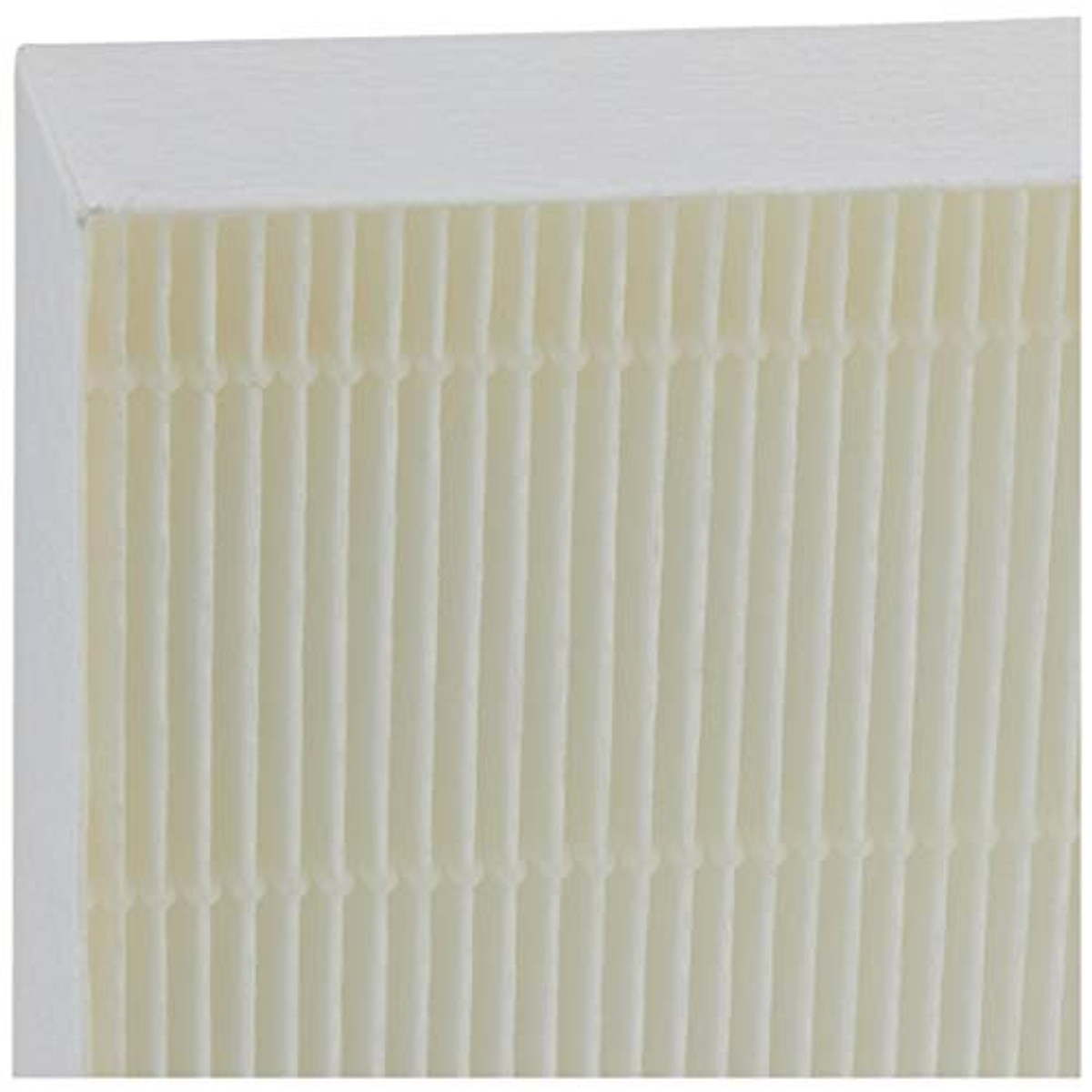 Sharp True HEPA Replacement Filter For FZ-A60HFU,Black