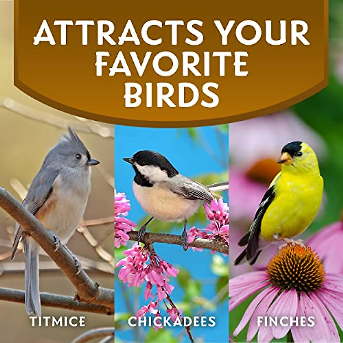 Morning Song Sunflower Hearts & Chips Wild Bird Food, No Mess Sunflower Seeds for Birds, 5.5-Pound Bag