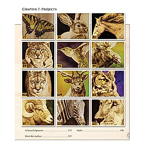 Woodburning Realistic Animals: 12 Step-by-Step Pyrography Projects of Birds, Pets, and Wildlife (Fox Chapel Publishing) Tutorials for Eyes, Fur, Manes, & Whiskers; Projects for Big Cats, Owls, & More