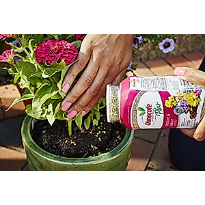 Osmocote Smart-Release Plant Food Plus Outdoor & Indoor, 1 lb.