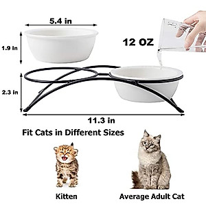 KitchenLeStar Cat Bowls,Cat Food Bowls Set,Ceramic Elevated Pet Dishes Bowls with Stand,12 oz Cats and Small Dogs Bowls,Dishwasher Safe.
