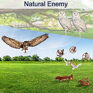 kungfu Mall Owls to Keep Birds Away, Fake Owl, Reflective Hanging Decoration Garden Owl Keep Birds Away from Garden Porch Roof Carport Garage 4PCS