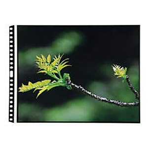 ProFolio by Itoya, Art ProFolio PolyGlass, 10-Pack Multi-Ring Binder Refill Pages - Portrait, 8.5 x 11 Inches