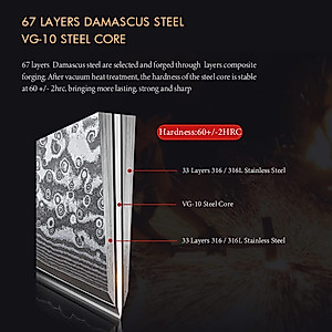 Chef Knife 8 Inch - Classic Damascus Pattern Professional Chef's Knives Japanese VG-10 Steel Kitchen Knives