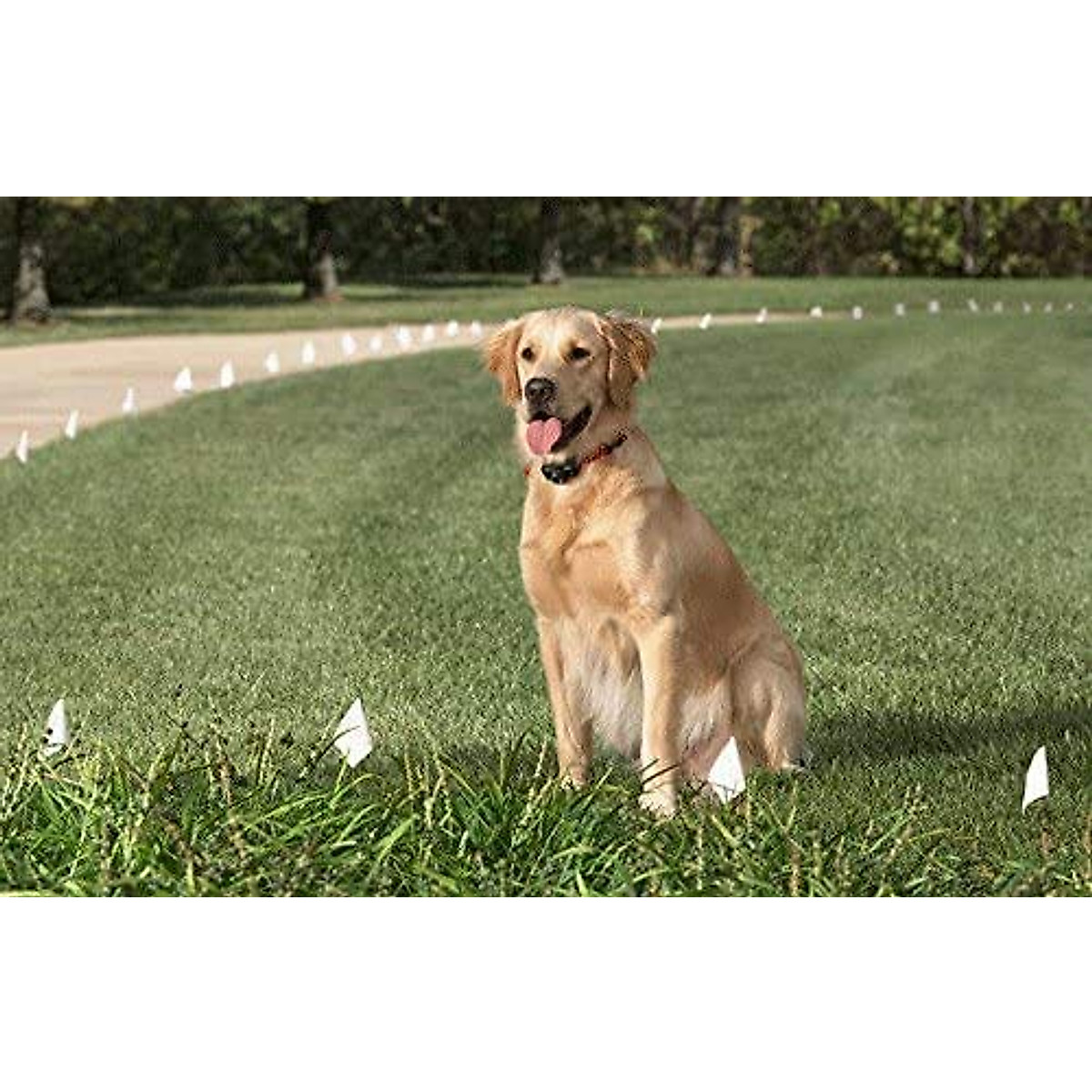 Sparky Pet Co - ECollar Replacement Strap - Bungee Dog Collar - Waterproof - Adjustable - Secure Nexus Wheel Lock - for Electronic Training & Invisible Fence Systems - 3/4" (Black)