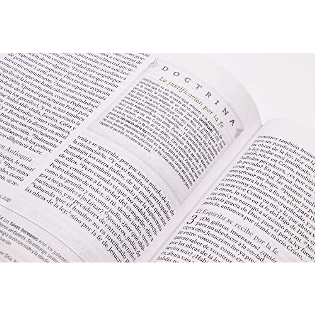 Biblia Reina Valera 1960 de Estudio para Mujeres, Tapa dura | RVR 1960 Women Study Bibl, Hardcover (Spanish Edition)