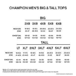 Champion Men's Hoodie, Powerblend, Fleece Striped Sweatshirt for Men (Reg. or Big & Tall)