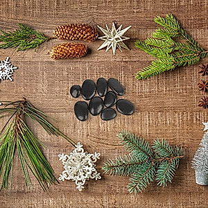 GASPRO 8lb Black River Rocks for Plants, Vases, 1 to 2 Inch Decorative Pebbles for Pots Indoor, High Polished