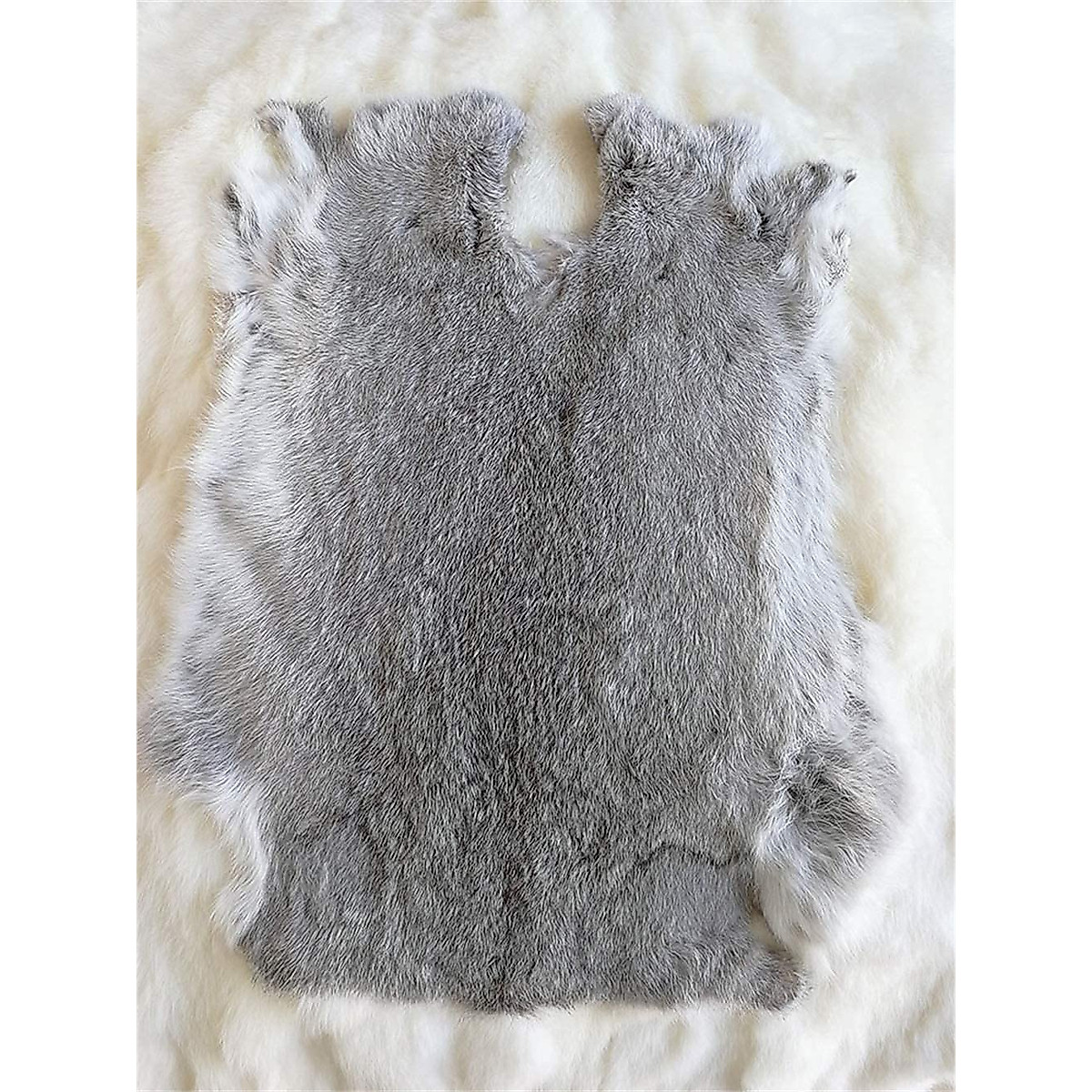 Assorted Natural Rabbit Skin Fur Pelts Grade Craft with Sewing Quality Leather 10" by 14" with Sewing Quality Leather for Decoration, Cat/Dog Toys, Sewing, or Crafting Fur Hide (5PCS Bulk)