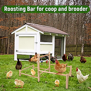 Chicken Perch Strong Pine Wooden Chick Jungle Gym Roosting Bar, Large ChickTraining Perch Toys for Baby Chicks, Chick Perch for Coop and Brooder for Large Bird, Chicks, Parrot