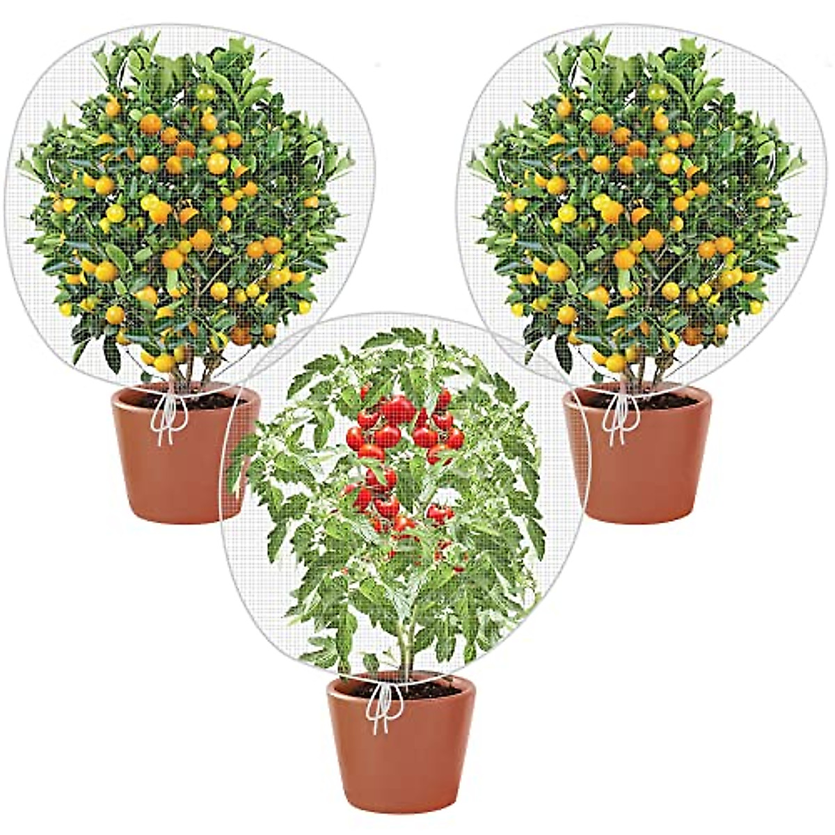 Alpurple 3 PCS Insect Bird Barrier Netting Mesh with Drawstring-2.6 x 2.6 Feet Fruit Tree Net-Garden Netting Plant Cover for Protect Plant Fruits Flower from Insect Bird Eating