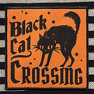 DII Happy Halloween Dishtowel Collection Embellished Cotton Kitchen Hand Towel Set, 18x28, Happy Haunting, 3 Count