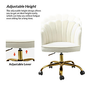 HULALA HOME Velvet Home Office Chair with Gold Base, Womans Modern Cute Shell Back Upholstered Desk Chair for Vanity, Adjustable Swivel Task Chair for Living Room, Ivory Chair for Desk
