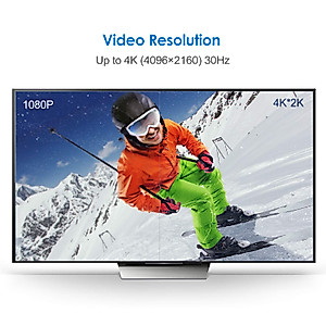 Rankie Micro HDMI Male to HDMI Male Cable, Compatible with GoPro Hero, Canon/Nikon/Sony Camera, 6 Feet (Black)