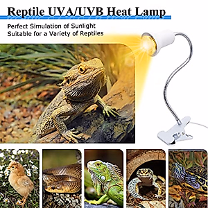 Turtle Heat Lamps,Small Heat Lamp for Turtle Tank,Turtle Light with 10mm Thick Gooseneck,360° Rotatable Heat Lamp with Clamp,Reptile Light for Bearded Dragon/Turtle/Lizard,1PC (No Bulb)