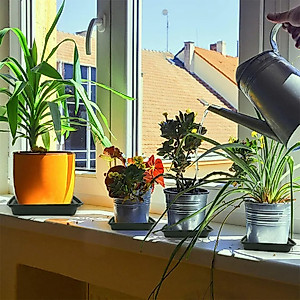 LWALRS Square Plant Saucer 6 8 10 12 14 16 18 20 Inch 5 Pack, Plastic Plant Saucers, Plant Water Dray Tray, Garden Planters for for Pots Base Indoors and Outdoors Plants（6 inch Black）