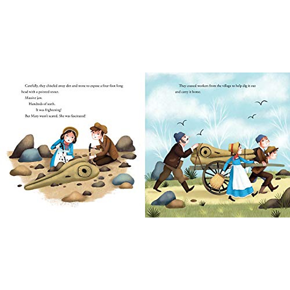 Dinosaur Lady: The Daring Discoveries of Mary Anning, the First Paleontologist (Women in Science Biographies, Fossil Books for Kids, Feminist Picture Books, Dinosaur Gifts for Kids)