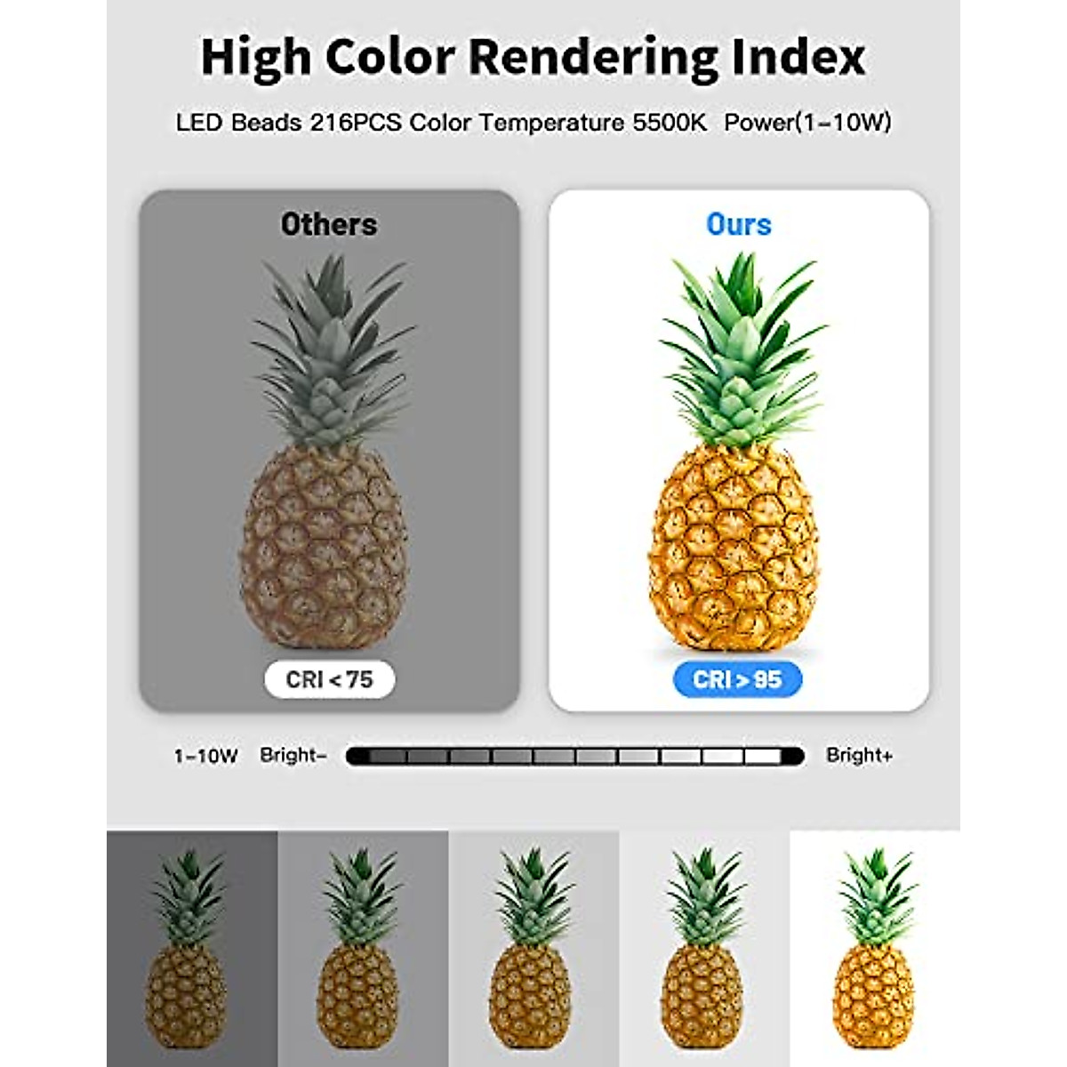 Glendan Light Box Photography, Portable Photo Studio Light Box, 16" x 16" Professional Dimmable Shooting Tent Kit with 216 LED Table Top Light & 6 Backdrops Photo Box for Product Photography