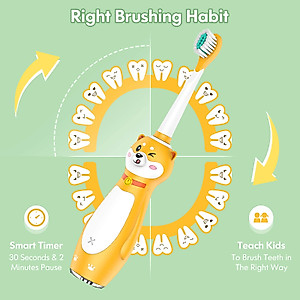 DADA-TECH Baby Electric Toothbrush Blue Ages 0-3 Years, Kids Electric Toothbrush Rechargeable Yellow Ages 3+