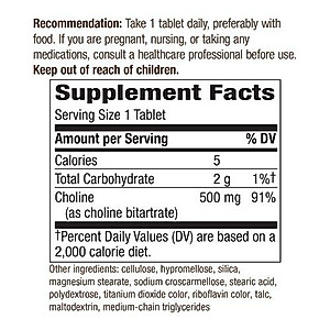 Nature's Way Choline, 500 mg, 100 Tablets, Pack of 2