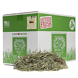 Small Pet Select 2nd Cutting Perfect Blend Timothy Hay Pet Food for Rabbits, Guinea Pigs, Chinchillas and Other Small Animals, Premium Natural Hay Grown in The US, 25 LB