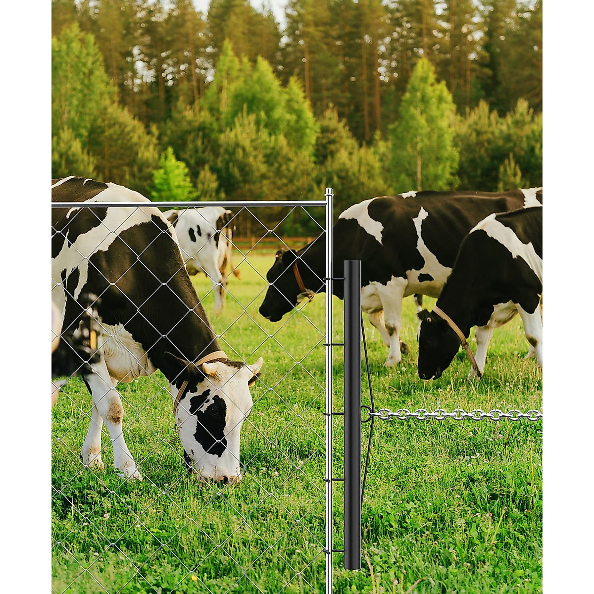 ANSLCA Chain Link Fabric Fence Stretcher - 5 Thickened Hooks Bar - 31.5 Inch Woven Wire Fence Stretcher Black Steel, Fence Stretcher Tool