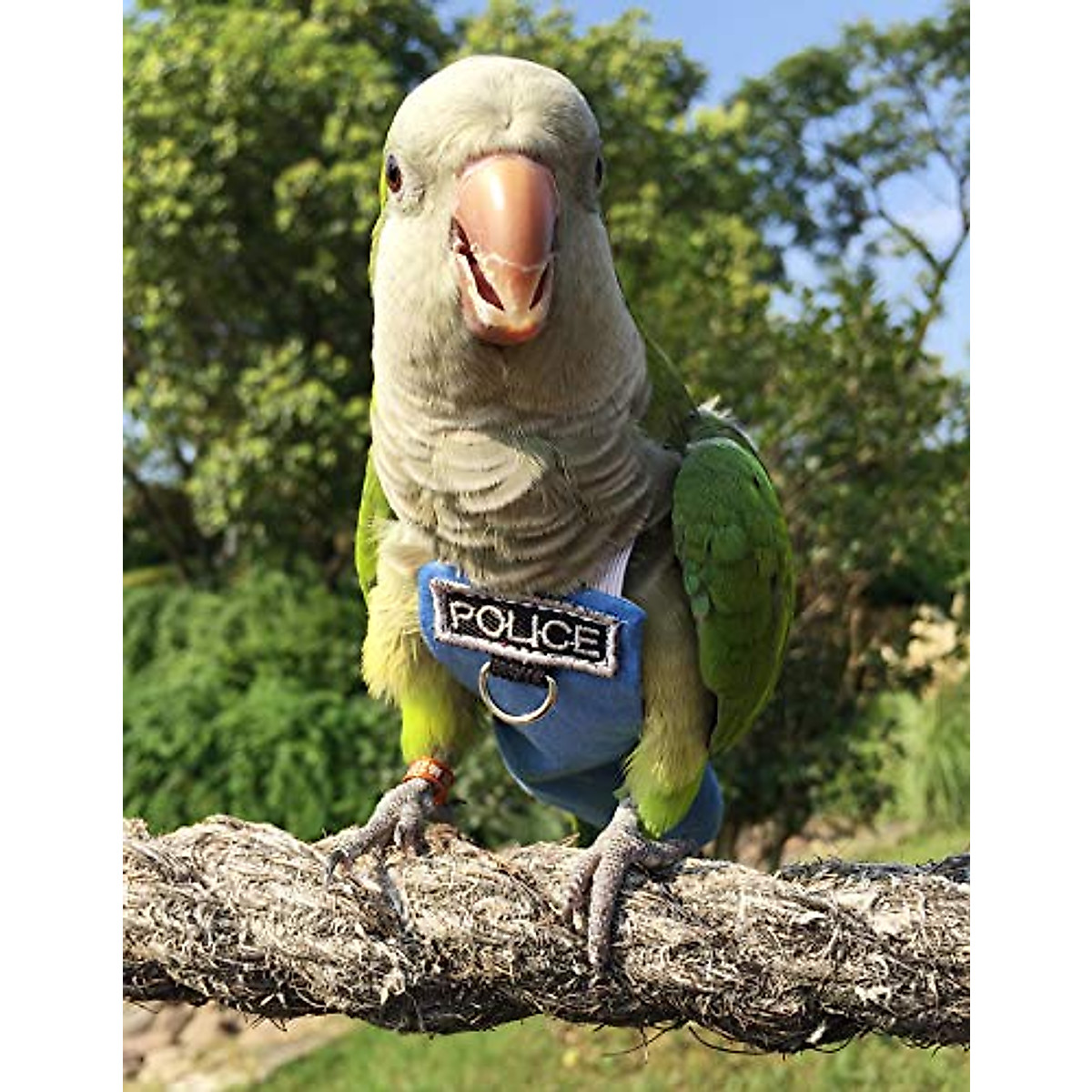 HEZHUO Bird Clothes Parrot Diapers Bird Flight Suits, Reusable Waterproof Diapers pet Bird Supplies Poli (M)