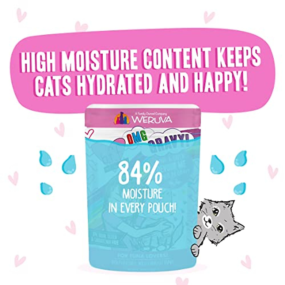 Weruva B.F.F. OMG - Best Feline Friend Oh My Gravy!, Tuna & Duck Devour Me with Tuna & Duck in Gravy Cat Food, 3oz Pouch (Pack of 12)