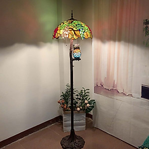 Bieye L10766 Grapes Tiffany Style Stained Glass Double-Lit Floor Lamp with Owl Night Light, 18" Wx65 H