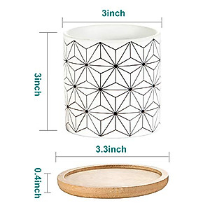 Succulent Pots 6 Pack, Laerjin 3 Inch Succulent Planters with Drainage and Bamboo Tray, Geometric Patterns Ceramic Small Pots for Baby Plants, Cactus, Herbs- Plants Not Included